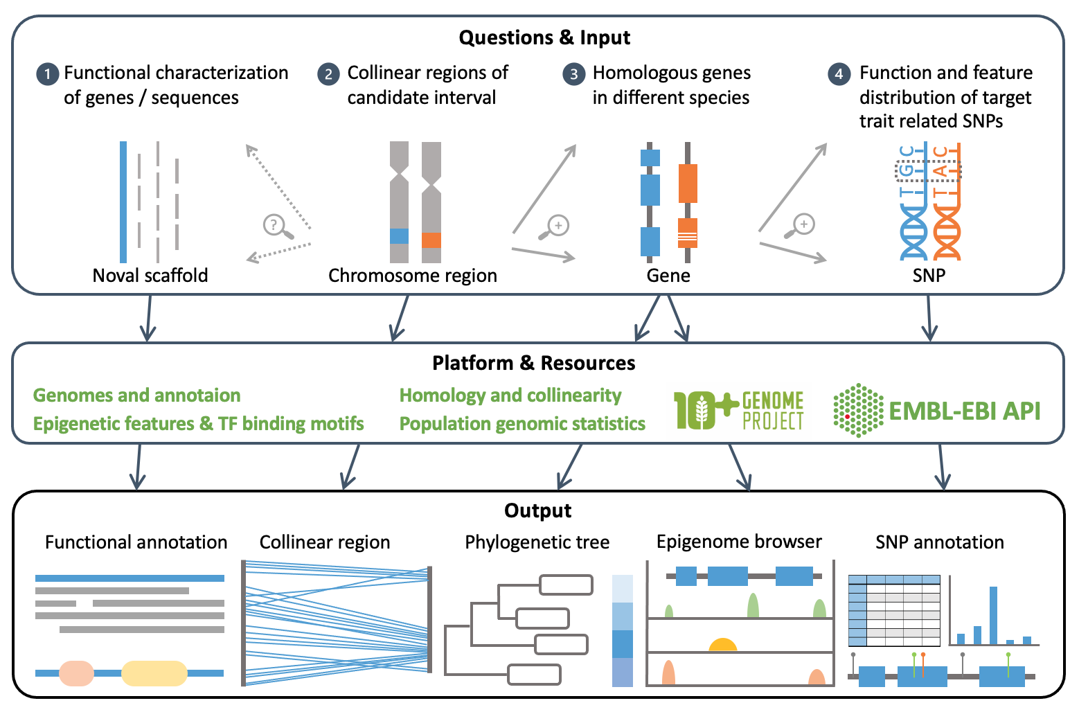 GitHub - fei0810/Triti-Map: A Snakemake-based pipeline for gene mapping ...